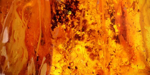 Amber: Spiritual Meaning - Symbols and Synchronicity